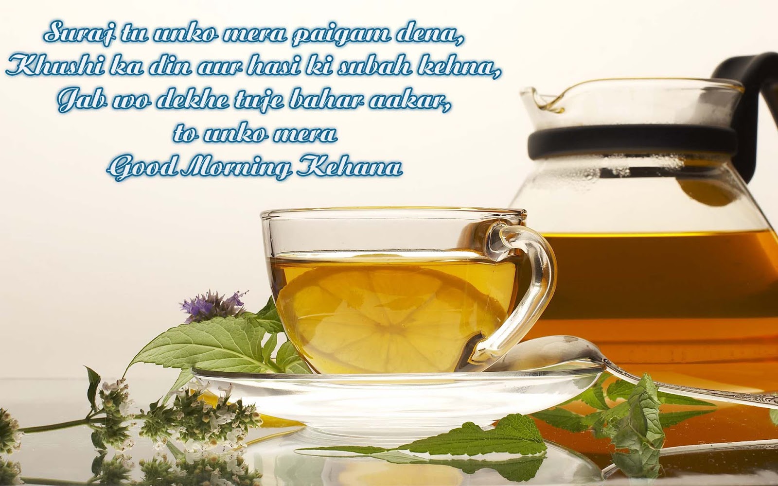 Lovely and Beautiful Good Morning Wallpapers - Duul Wallpaper