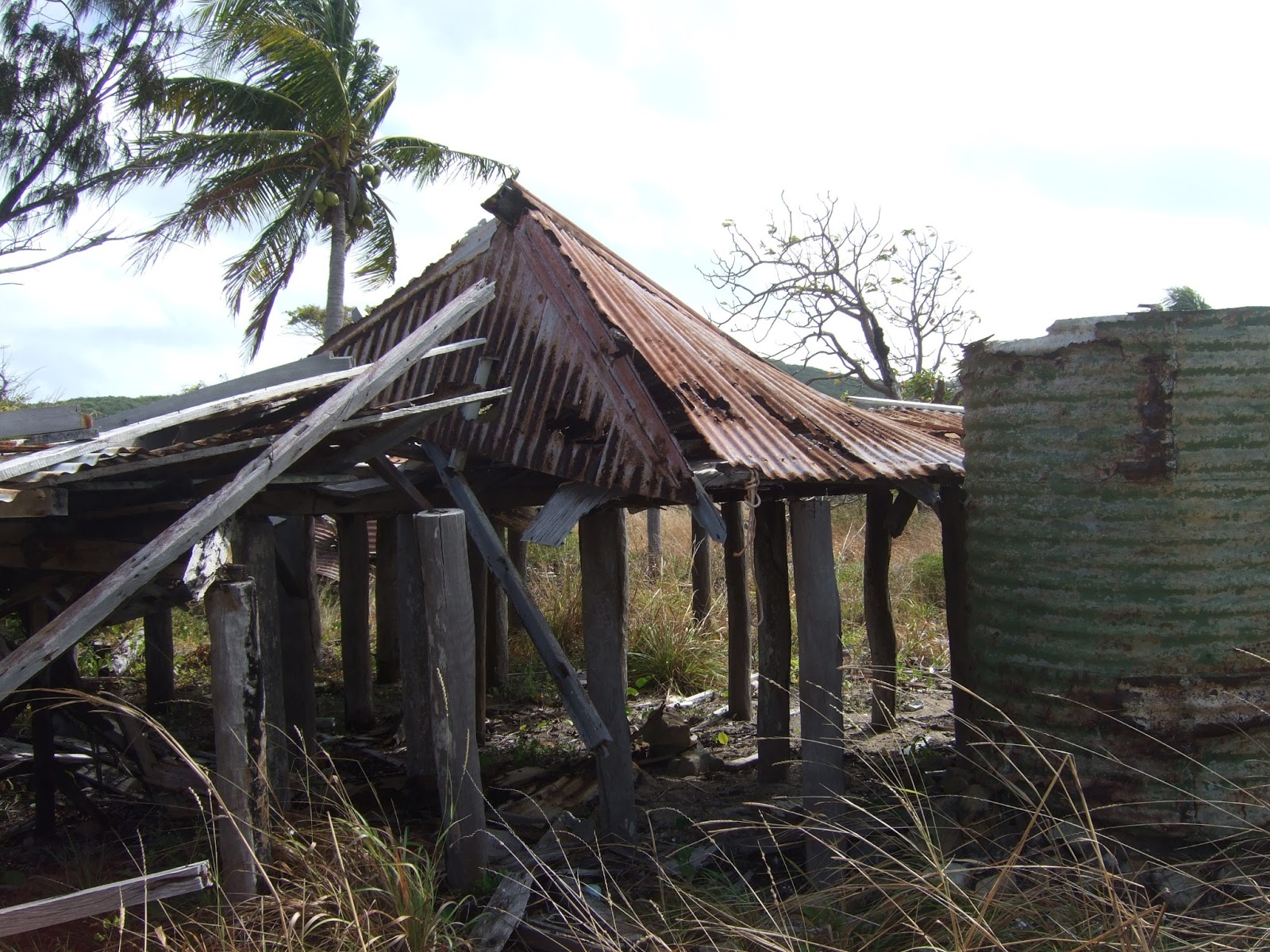 Teaching Torres Strait: Morning Tea on Goods Island