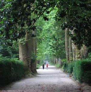 Georgia Georgian: Zugdidi!