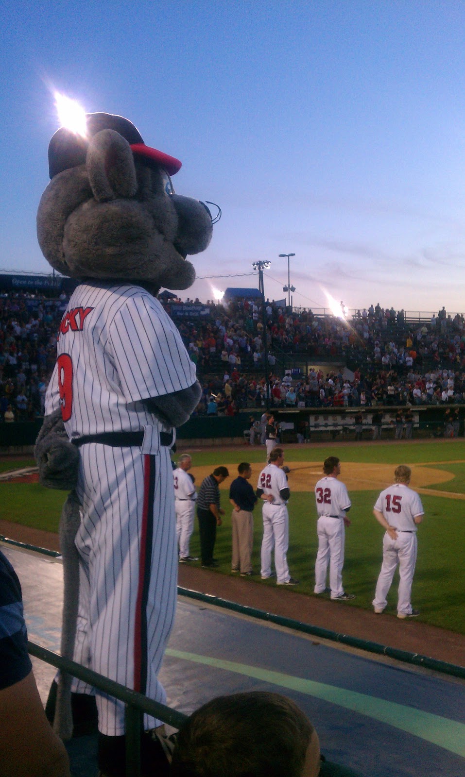 The Rock Cats' June Swoon - Blog Twins Fan From Afar - Twins Daily