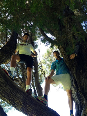 kenneth in the (212): Benoit Balls