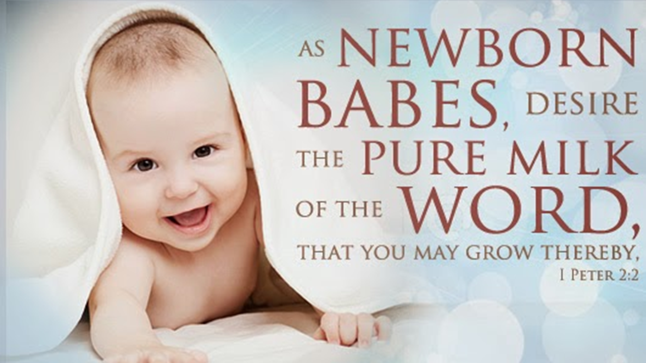 Yankee Pastor: Spiritual Milk