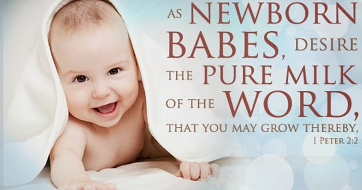 Yankee Pastor: Spiritual Milk