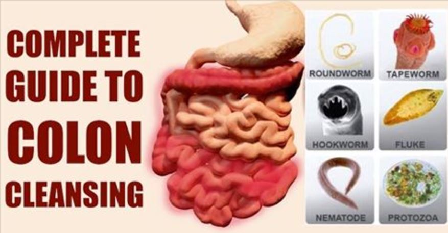 COLON CLEANSING: COMPLETE GUIDE TO FLUSH OUT POUNDS OF OLD FECAL WASTE ...