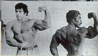 DIARY of the BLACK PRINCE: THE PERFECT REP