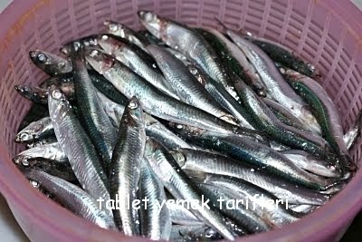 balık hangi ayda lezzetli olur? - HEVENK YEMEK TARİFLERİ