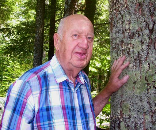 Cartagena Bonsai: Seal or not? Compartmentalization Theory