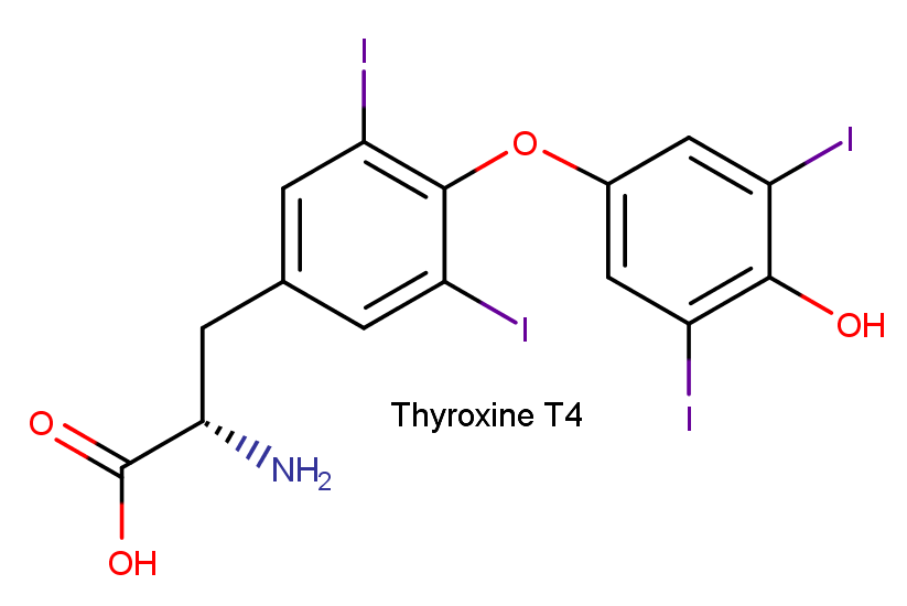Φαρμακευτικά Μόρια: Ιώδιο