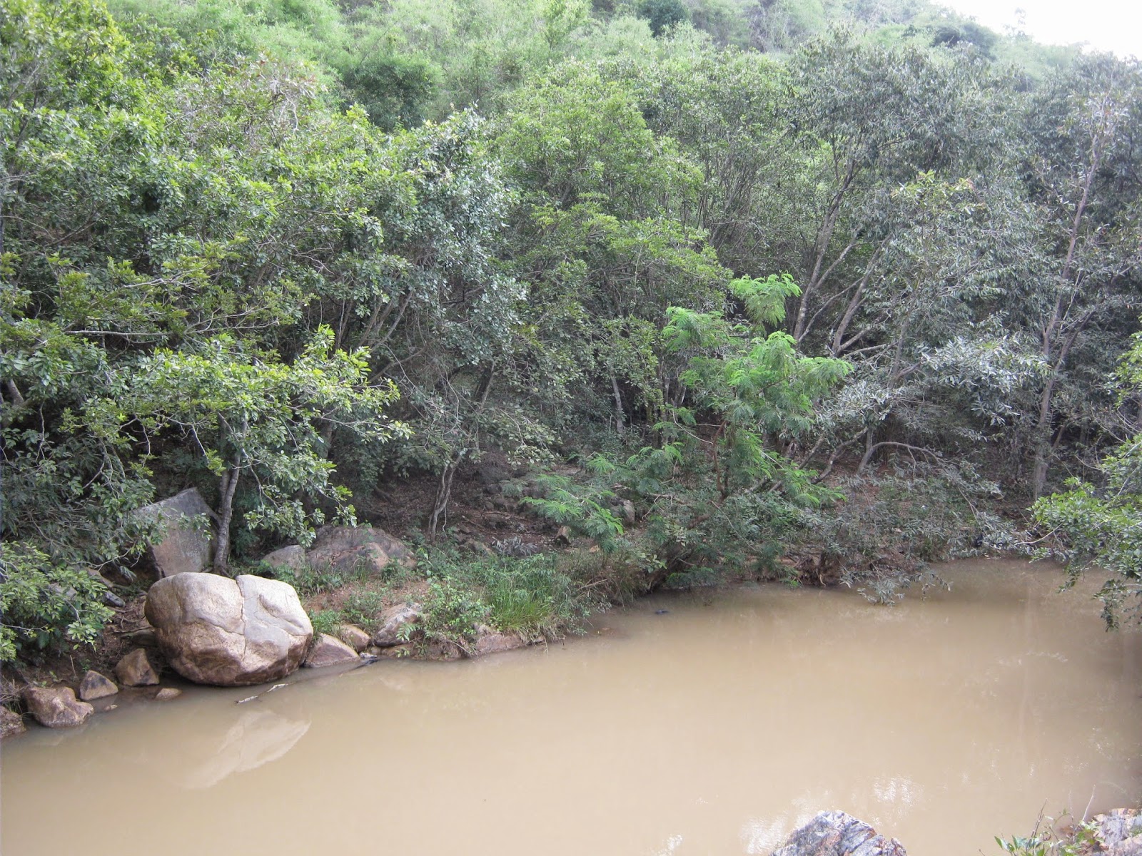 MuthyalaMaduvu , Pearl Valley , Anekal , near Bengaluru