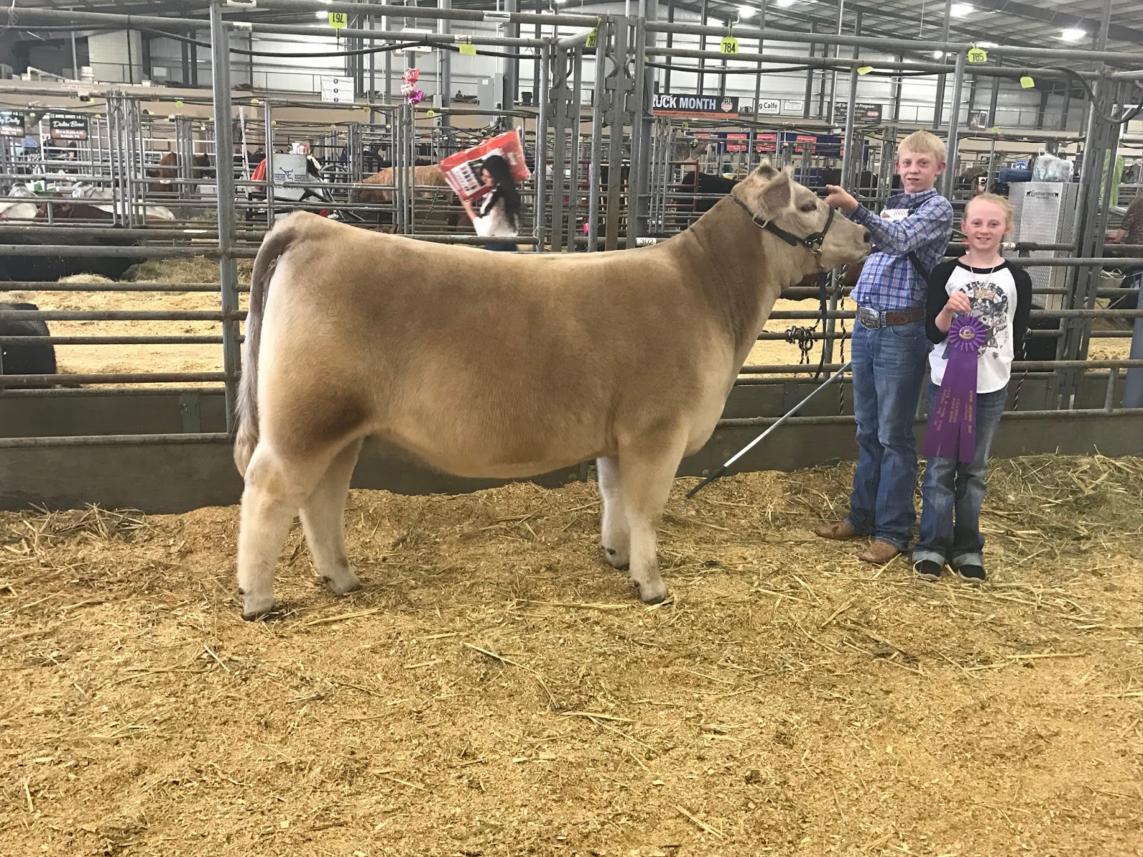 Skinner Cattle Co: Skinner Cattle Co Winners