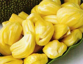 Jackfruit (Quả Mít) | Vietnam Information - Discover the beauty of ...
