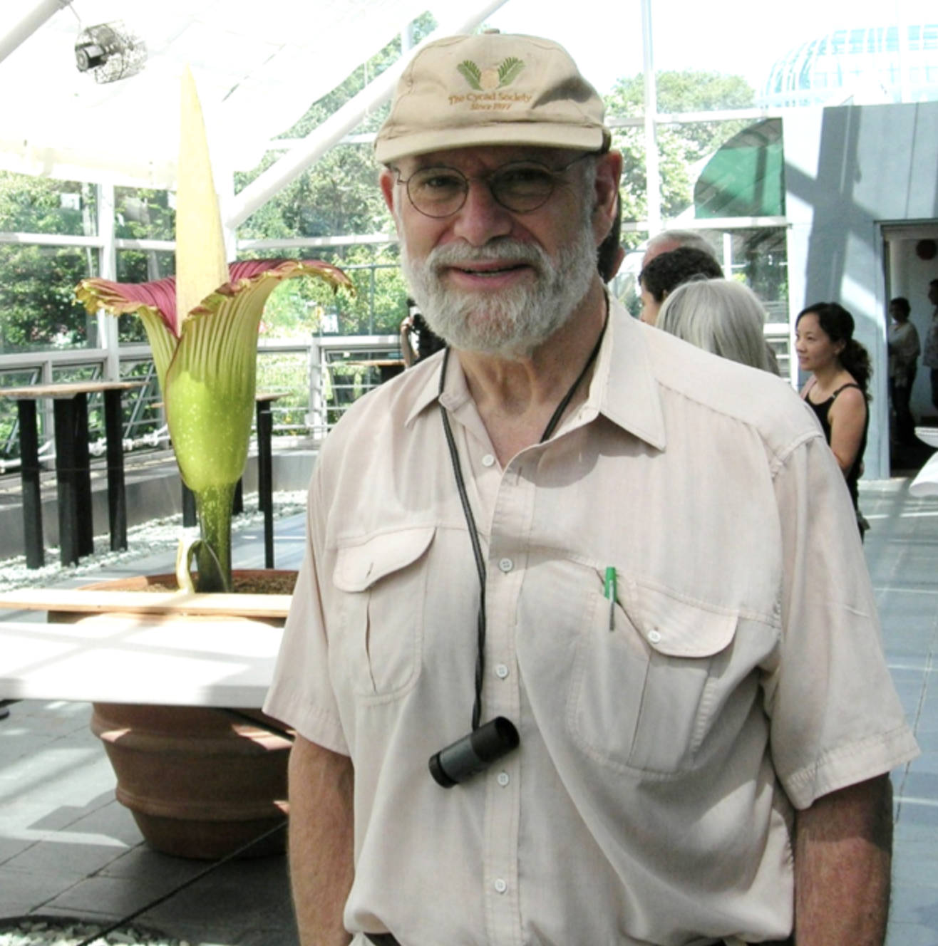 Oliver Sacks: neurologist and pteridologist