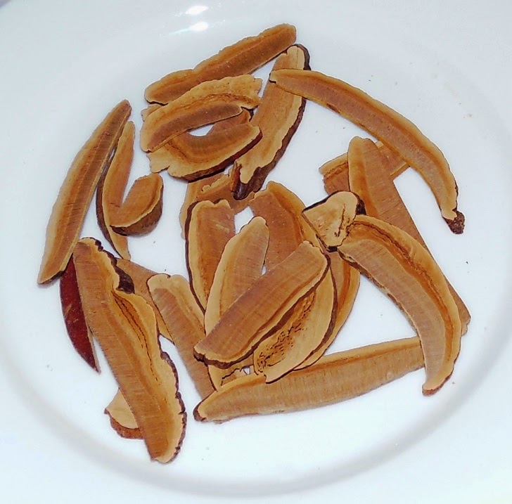 Ken Szulczyk's Blog: The Ancient Chinese Mushroom – Lingzhi