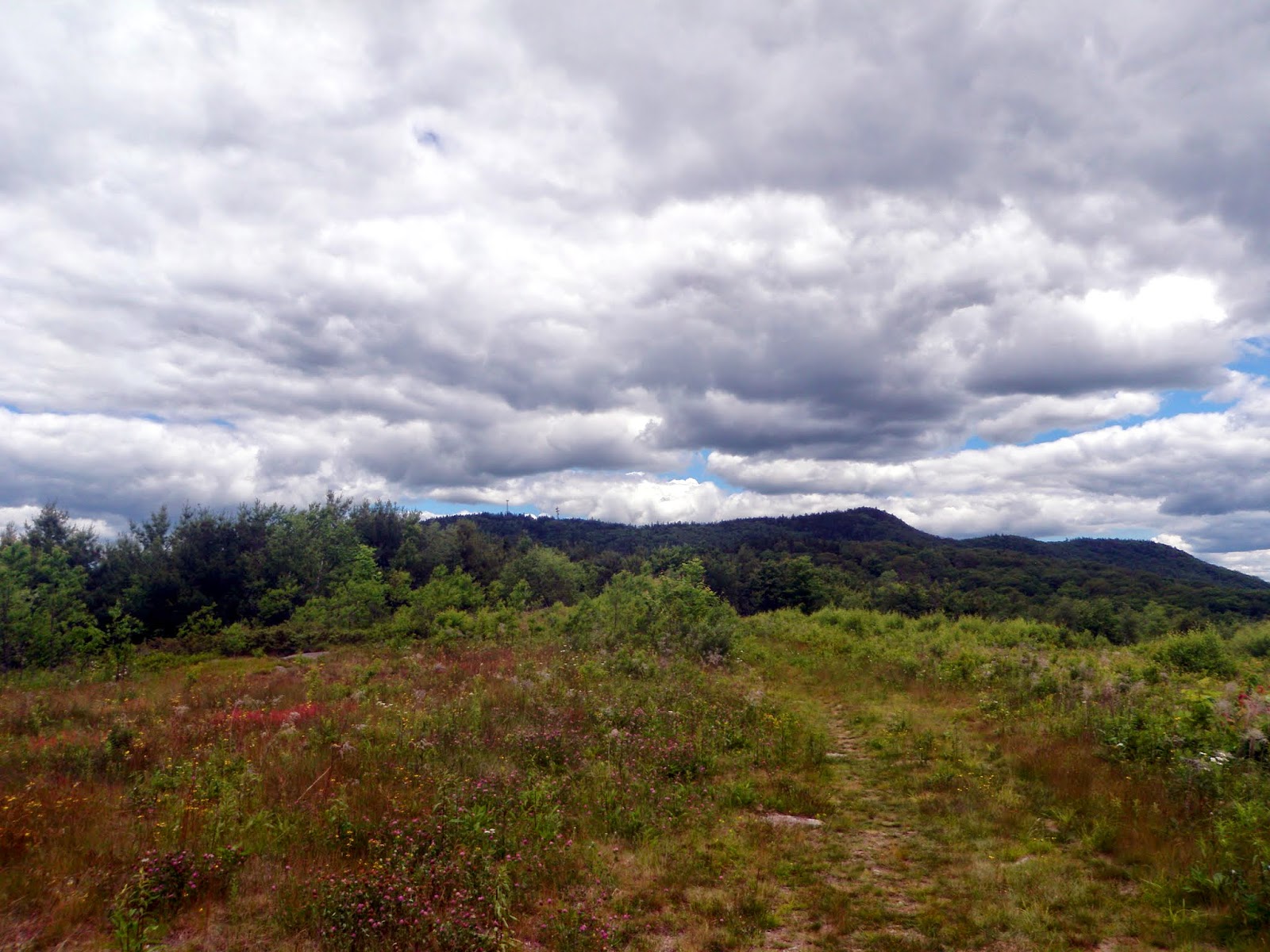 Trekking For A Cure. Giving MS The Boot!!: Monroe Hill (Fox State ...