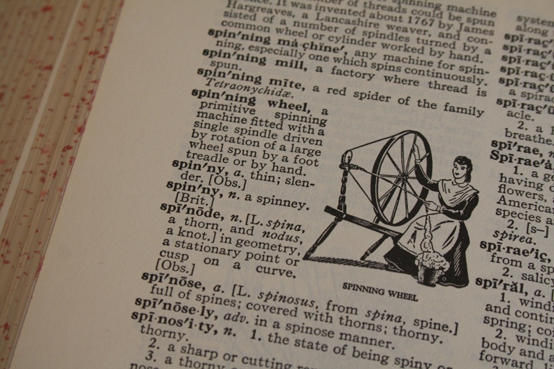 Acorn to Oak: Dictionary Delight