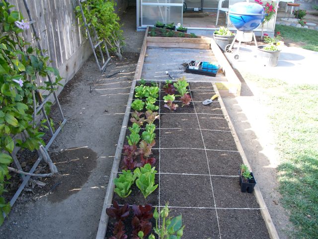 Gardening with the Gragstons: Dana's Gopher-Proof Garden Expansion