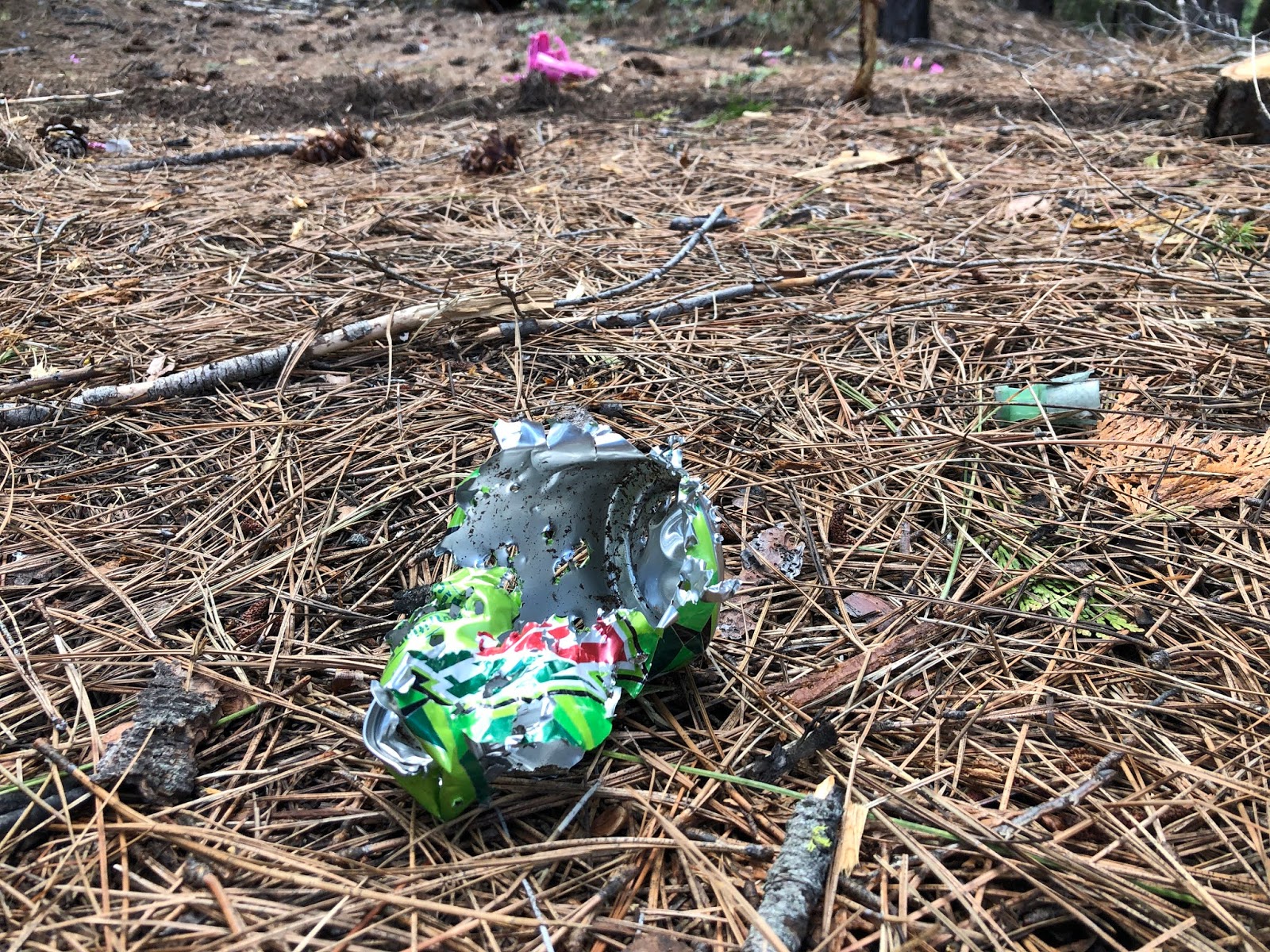 Crystal Basin Boondocking - Memorial Day 2020