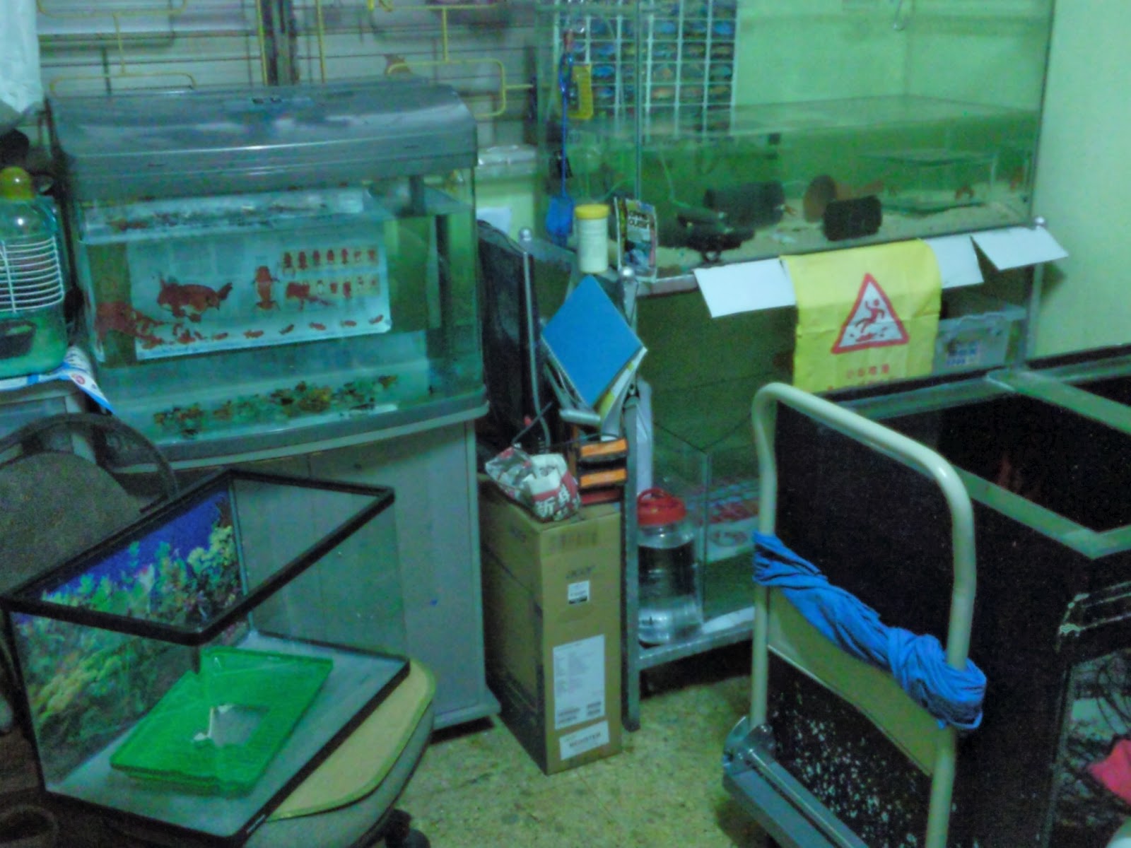 Tropical Fisher Man Fish Tanks And Aquarium CRS: Aquarium Home Multiple ...