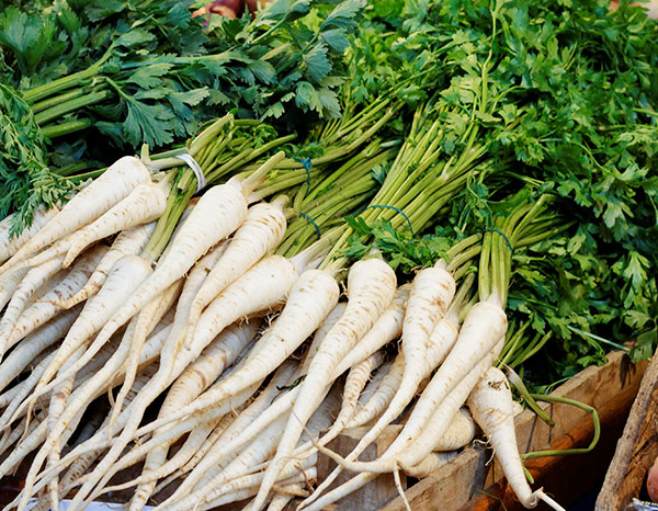 Temperos para se plantar em casa: Salsa