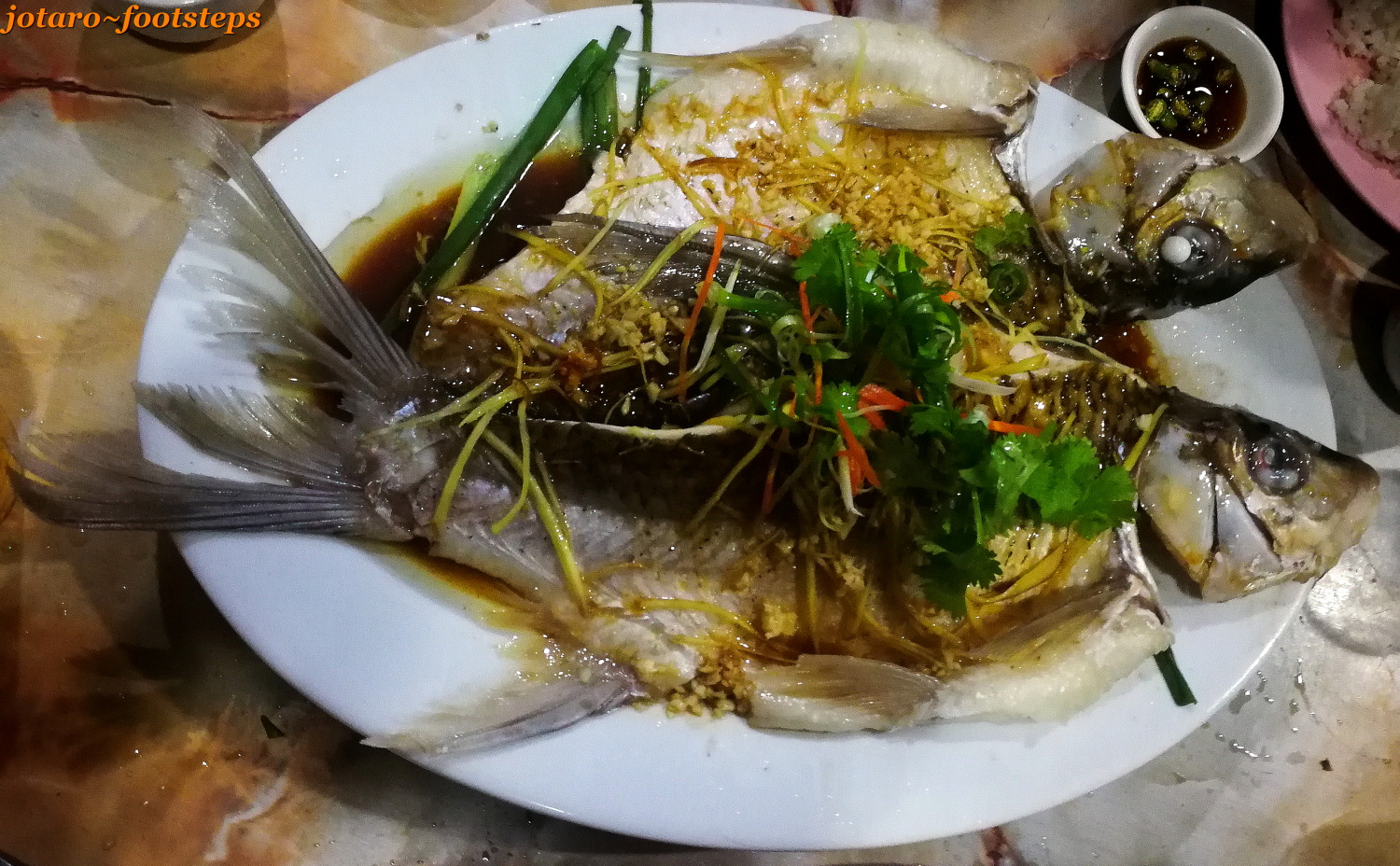 Footsteps - Jotaro's Travels: YummY! - Best Malaysian River Fish @ Yan ...
