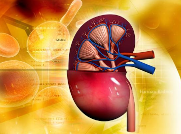traitement de l'insuffisance rénale: Quelles sont les causes de la ...