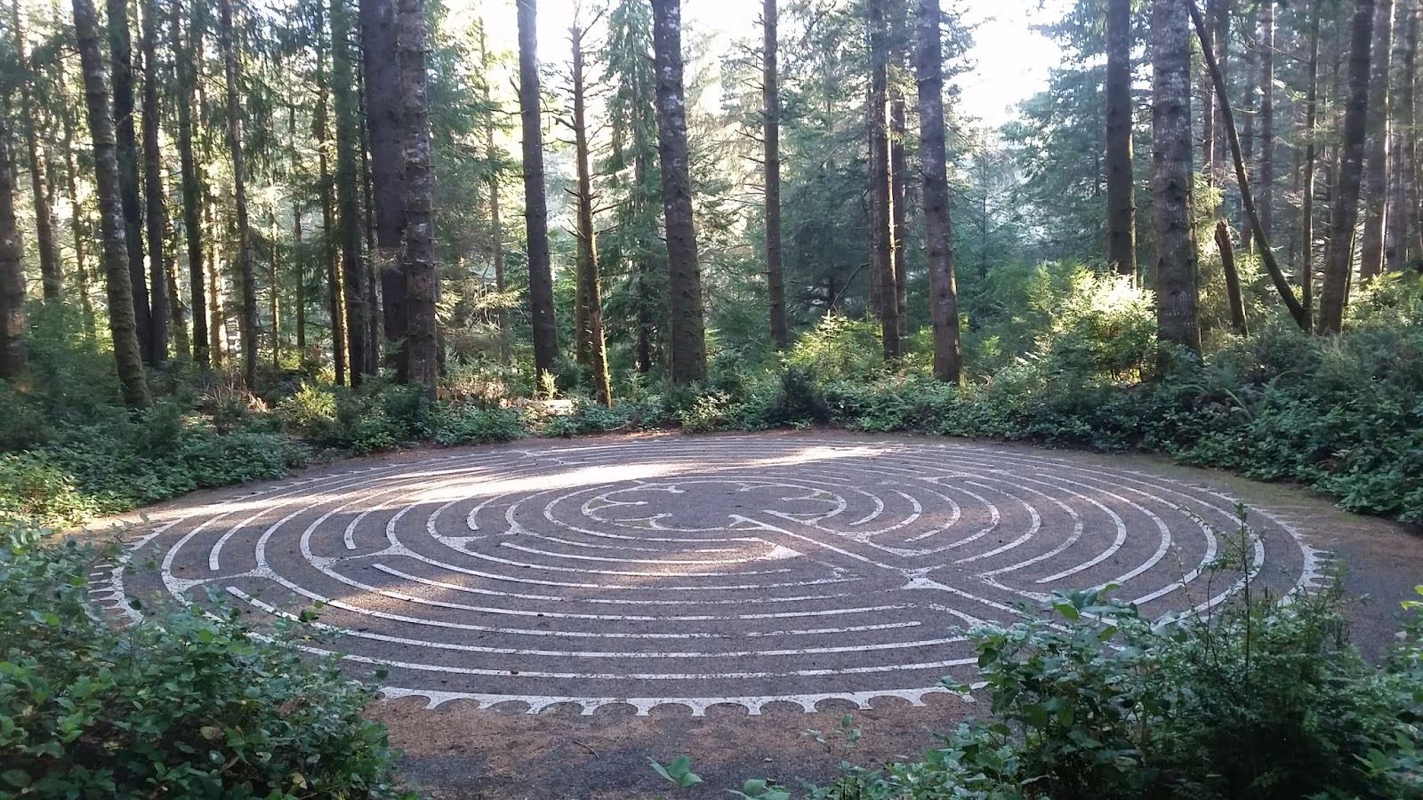 Coastal Horizons... books, beaches, and backroad adventures