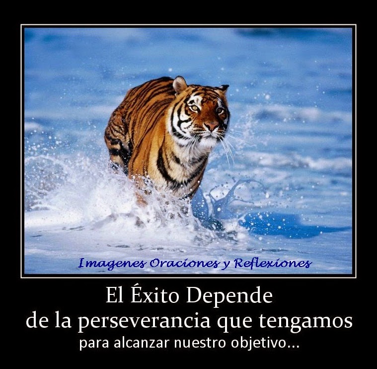 Imagenes Oraciones y Reflexiones: El éxito depende de la Perseverancia