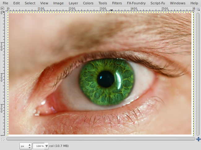 Infusio: Learn the Easiest way of Eye colorization with Gimp.