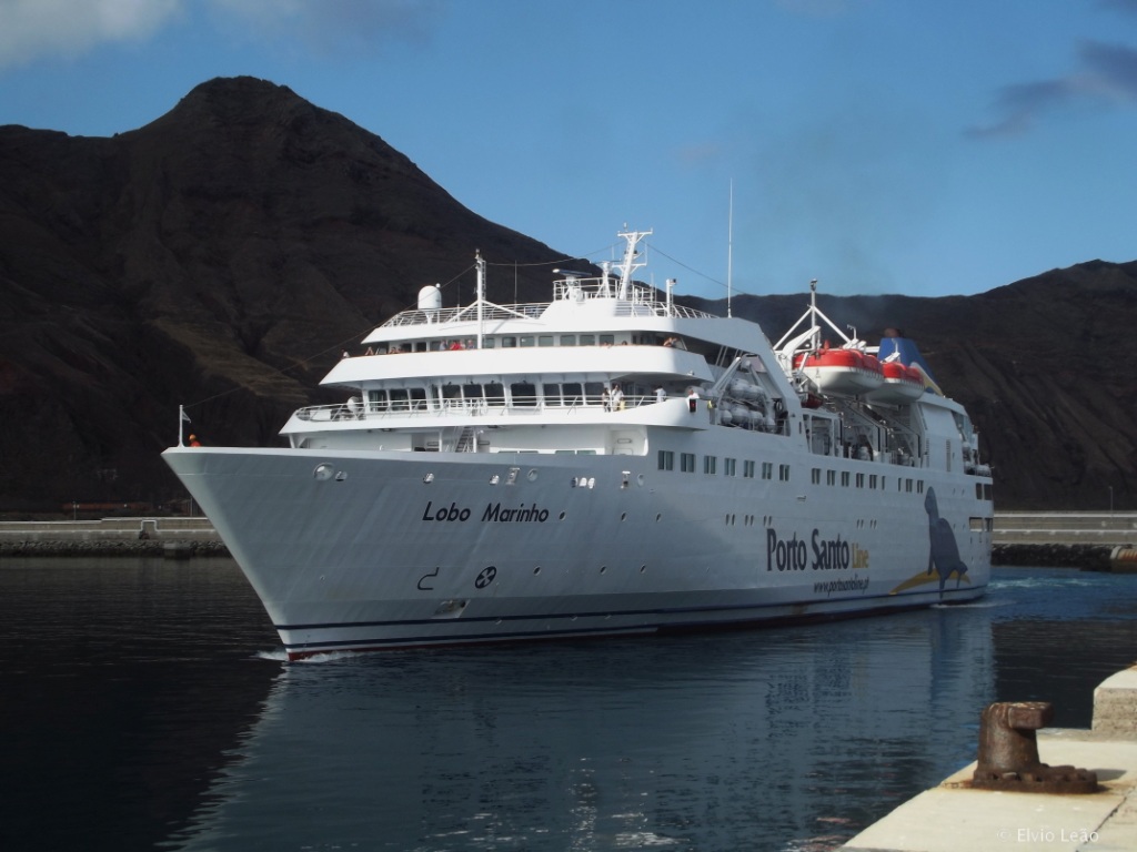 O Mar do Porto Santo: Lobo Marinho saindo para Funchal