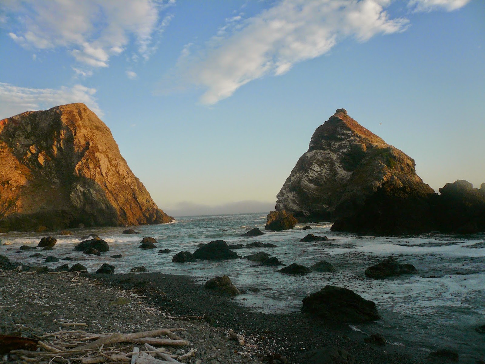 Countryman: Foraging California's Wild Side: Lean-to on the North Coast