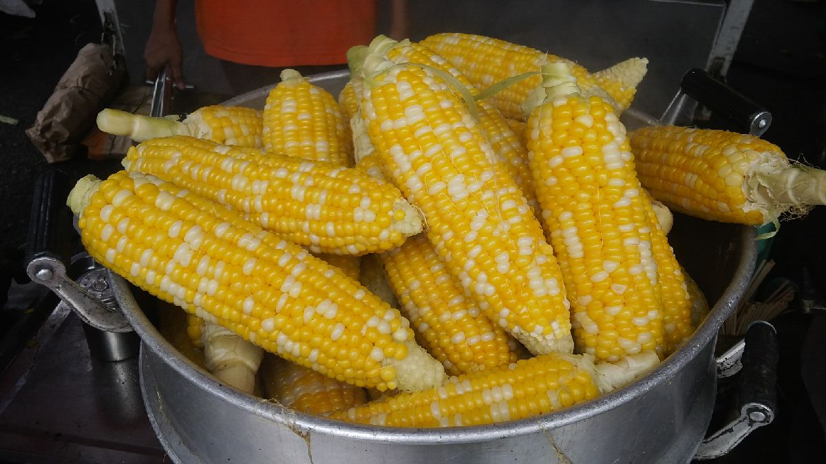 mrkumai.blogspot.com: Update Cuti Merdeka @ Cameron Highlands : Jagung ...