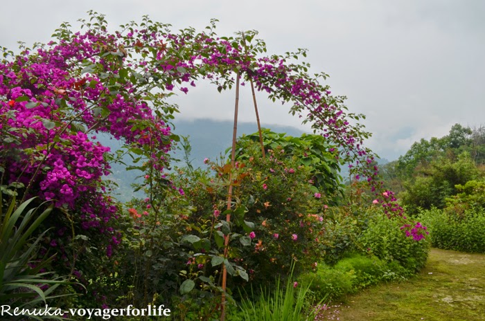 Darap Village – A Sneak Peek Into A Fantasy World - Voyager For Life