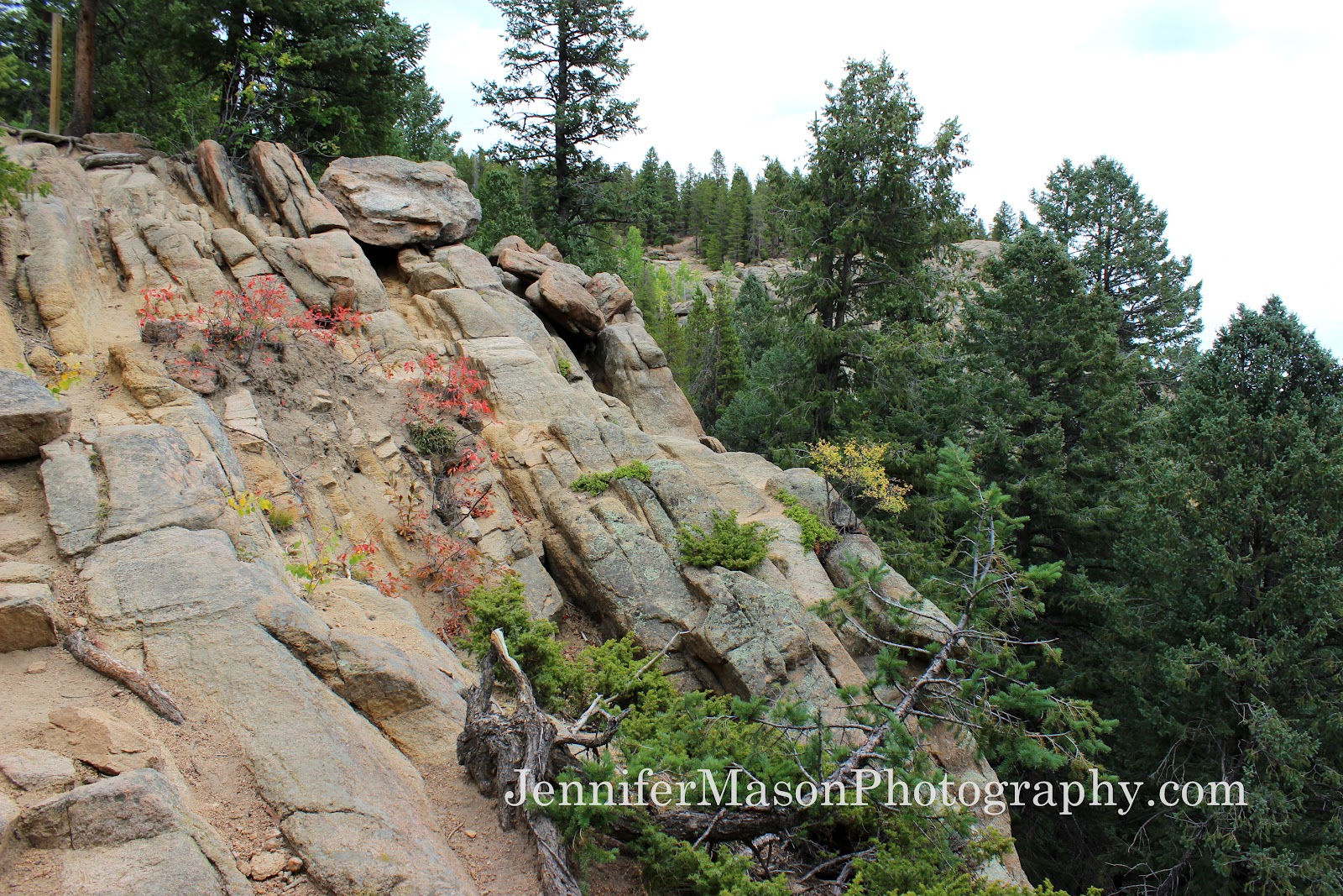 Trail and Park Reviews: Upper Maxwell Falls, Hiking in Evergreen Colorado
