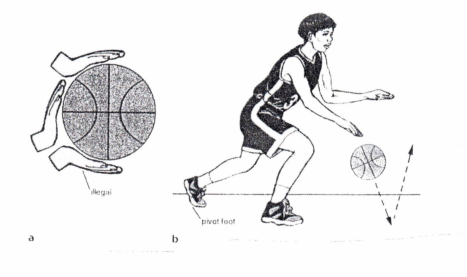 TEKNIK DASAR DRIBBLE DALAM PERMAINAN BOLA BASKET ~ DIECOACH