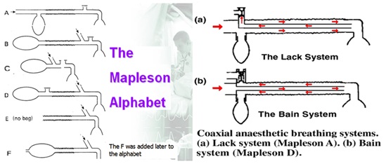 Online Medical MCQs | MCQs for Medical PG Preparation | MCQs for ...