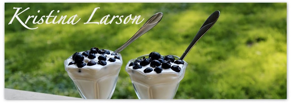 Kristina Larson: Watermelon Ice Cream