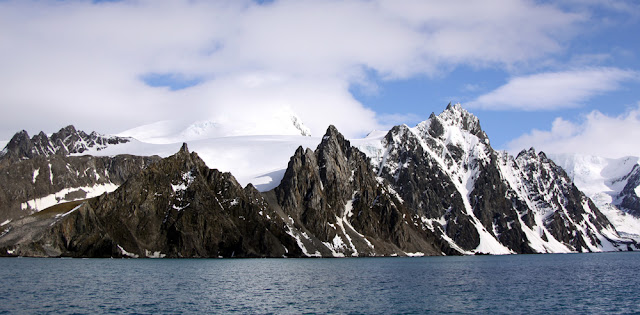 Travels with birds: Elephant Island