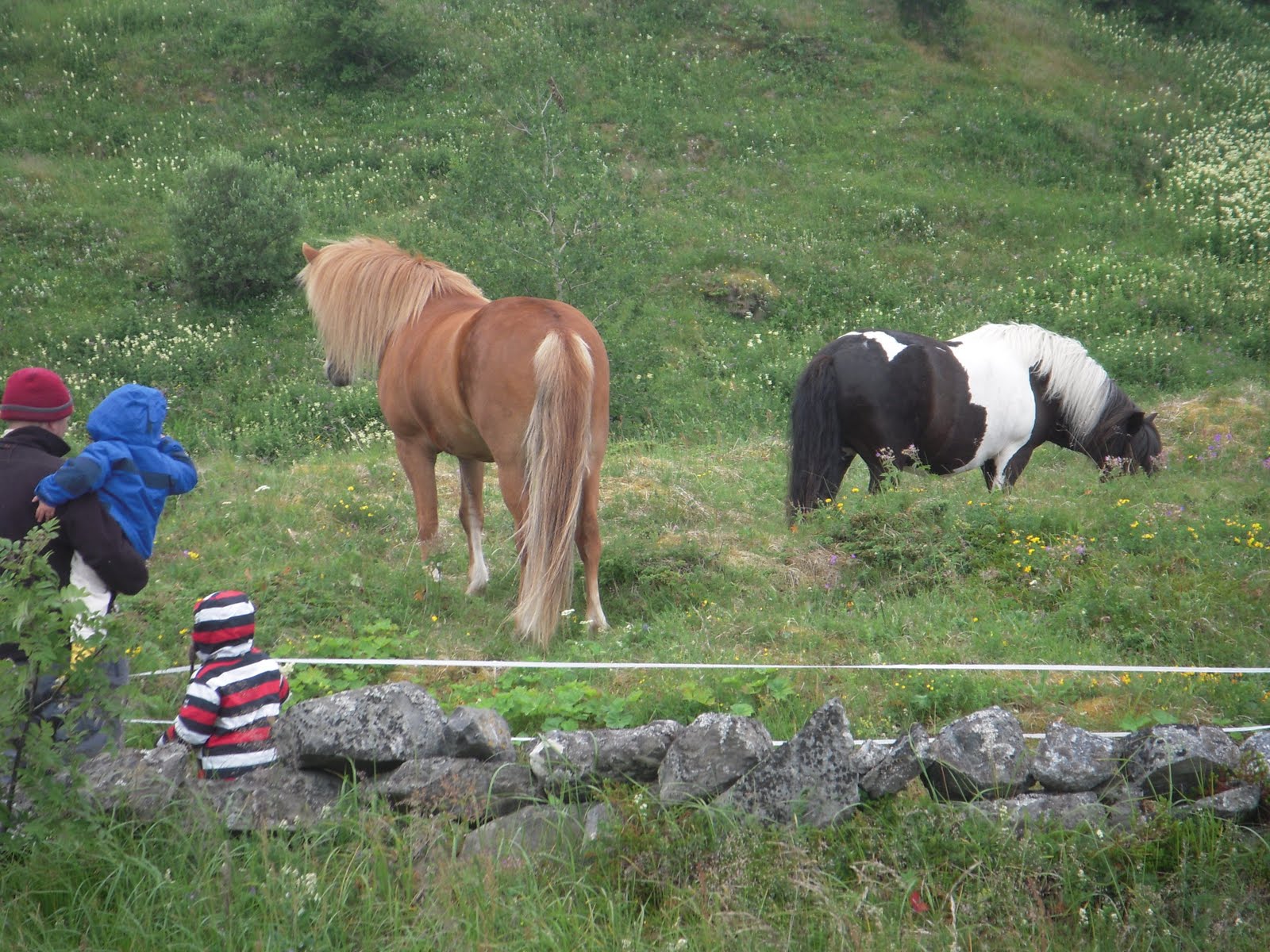 Larry: July 12th – Sor-Landego, Landegode