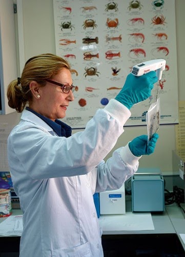 BACTERIOLOGIA: FUNCIONES DE UN BACTERIOLOGO