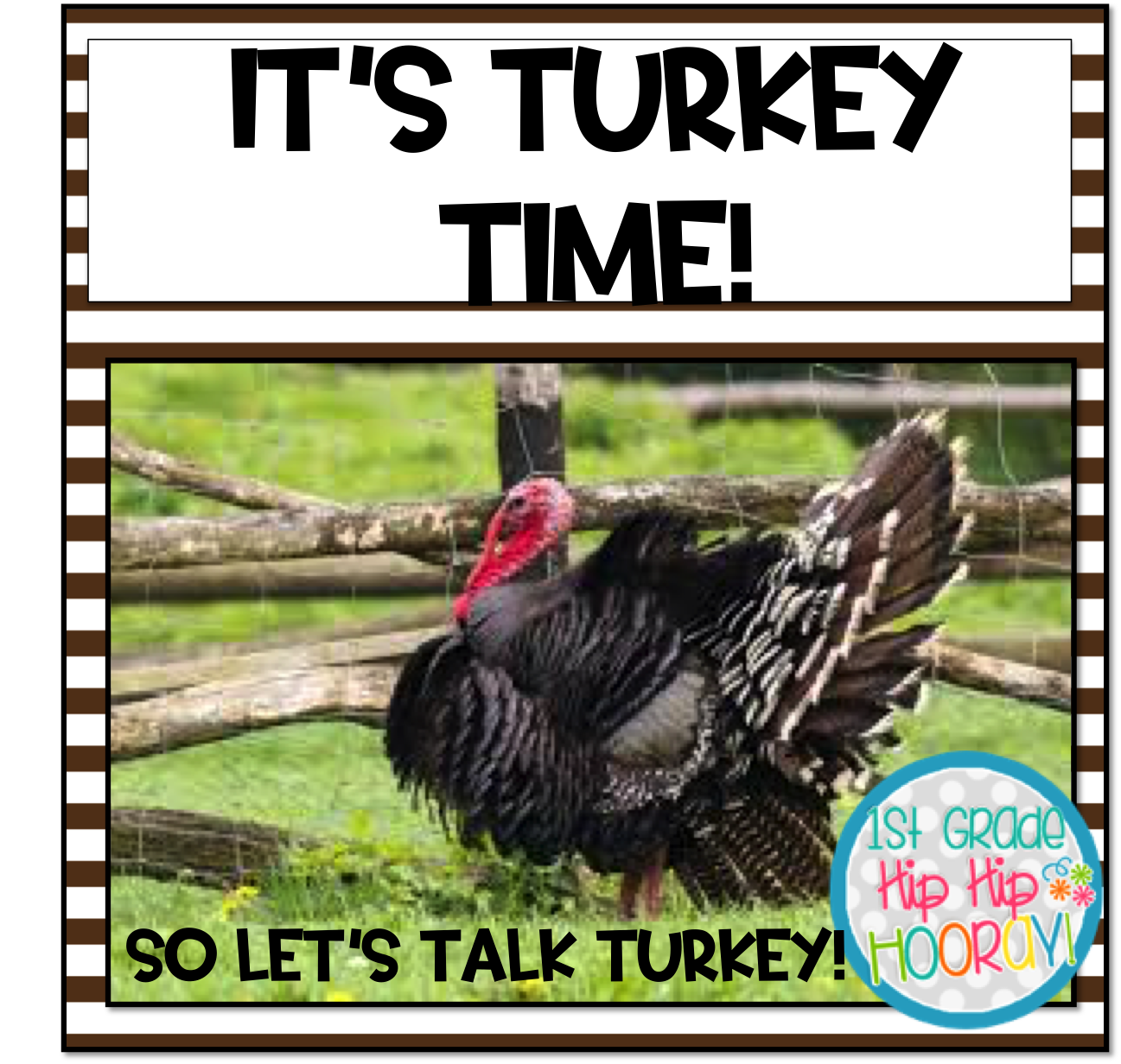 1st Grade Hip Hip Hooray!: It's turkey time so...let's talk turkey!