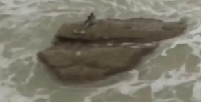 Mermaid Discovered Hanging Out On Rock In Israel? What Else Could It Be?