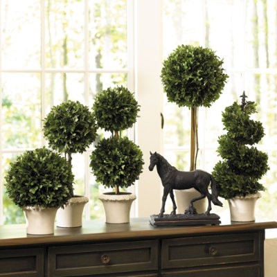 Eye For Design: Decorating With Topiary.....For Your Home And Gardens