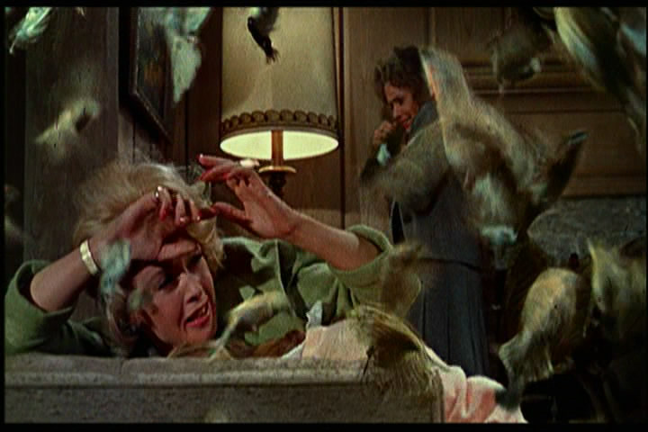 xoxoxo e: favorite movie #83 - halloween edition: the birds