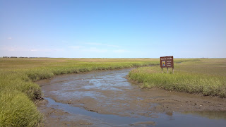 Hidden New Jersey: Confronted by the Jersey Devil at Leeds Point