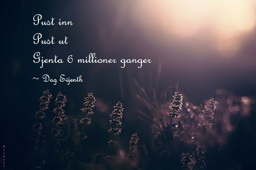 ღ Sitater, visdomsord og ordtak ღ by Hanna