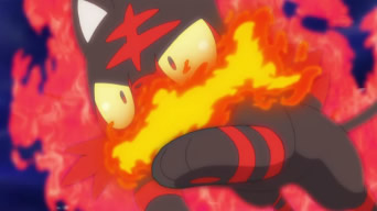 Poké-Arquivo: 725 - Litten ~ Pokémonster Dex || Acervo de Imagens de ...