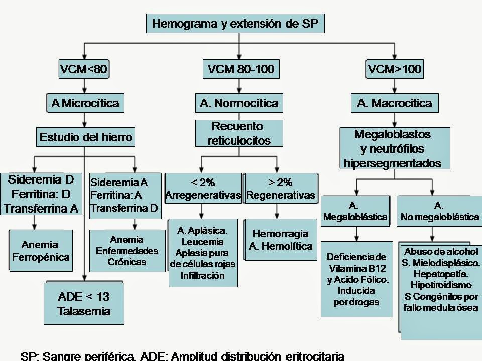 NOTAS DE SALUD: Diagnóstico Anemia