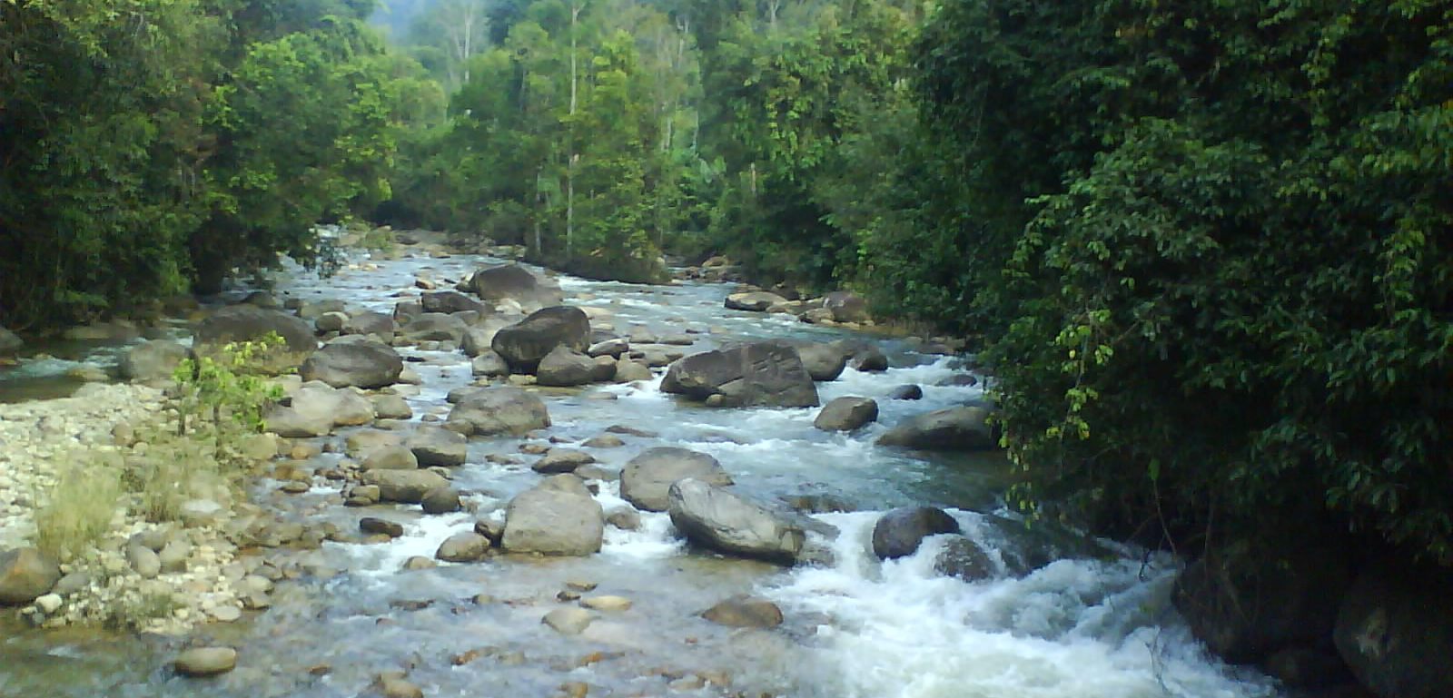 sepupusepapatsekawan's blog: My Lovely Selama