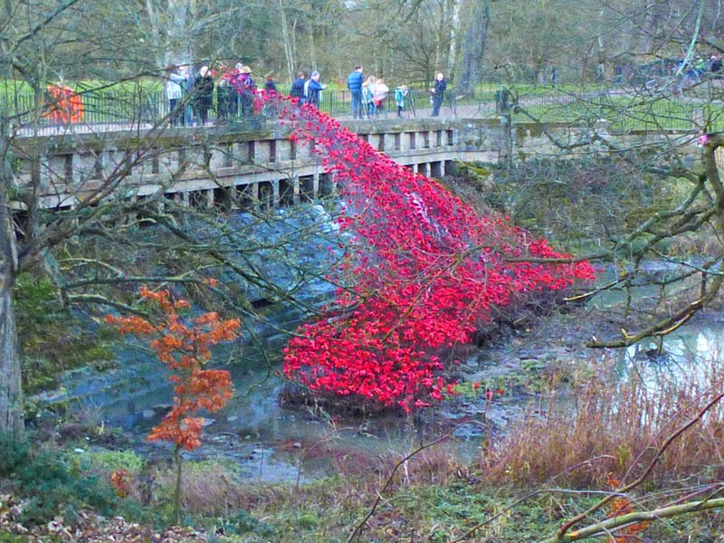 Daisy Doodle: December 2015