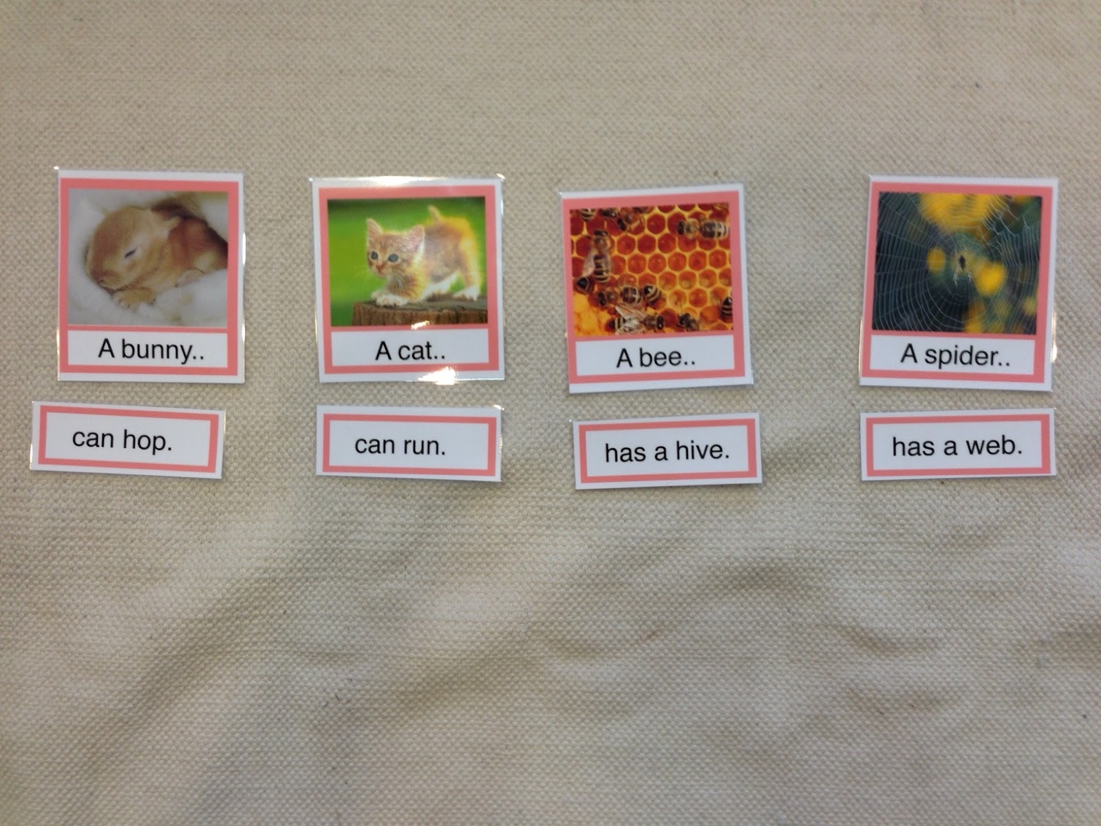 DIY Educational Materials: Phonics Materials - Set One